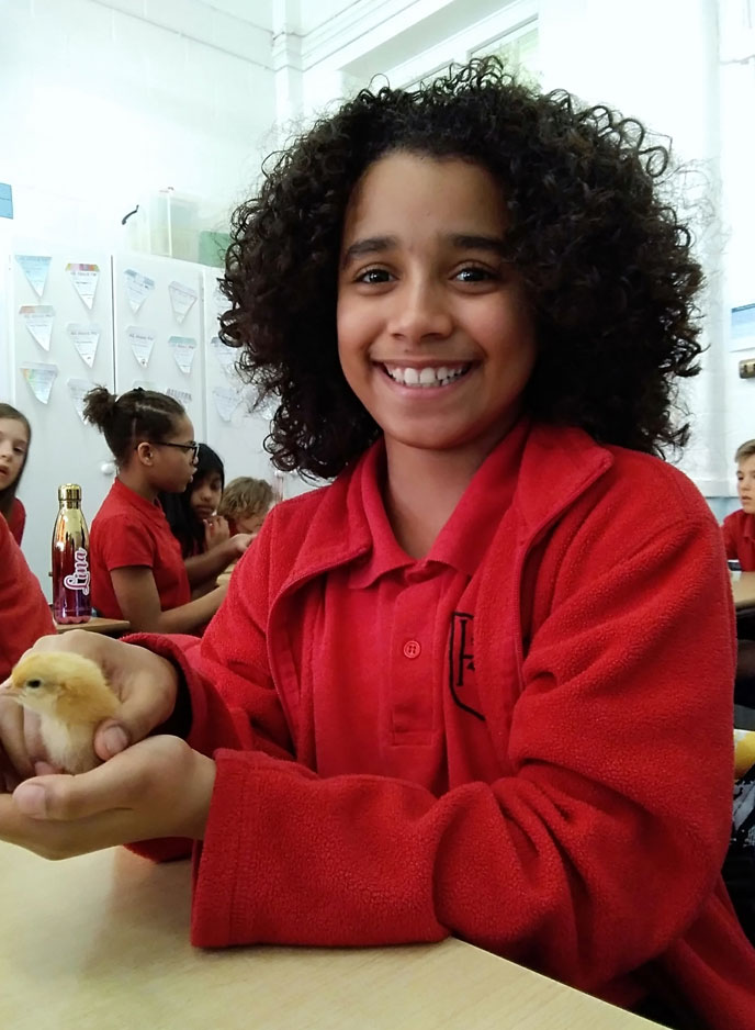 Carlisle & Hampton Hill Federation